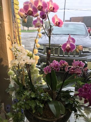 DELLA’S MAPLE LANE FLORIST - Updated November 2025 - 61 Photos & 33 ...