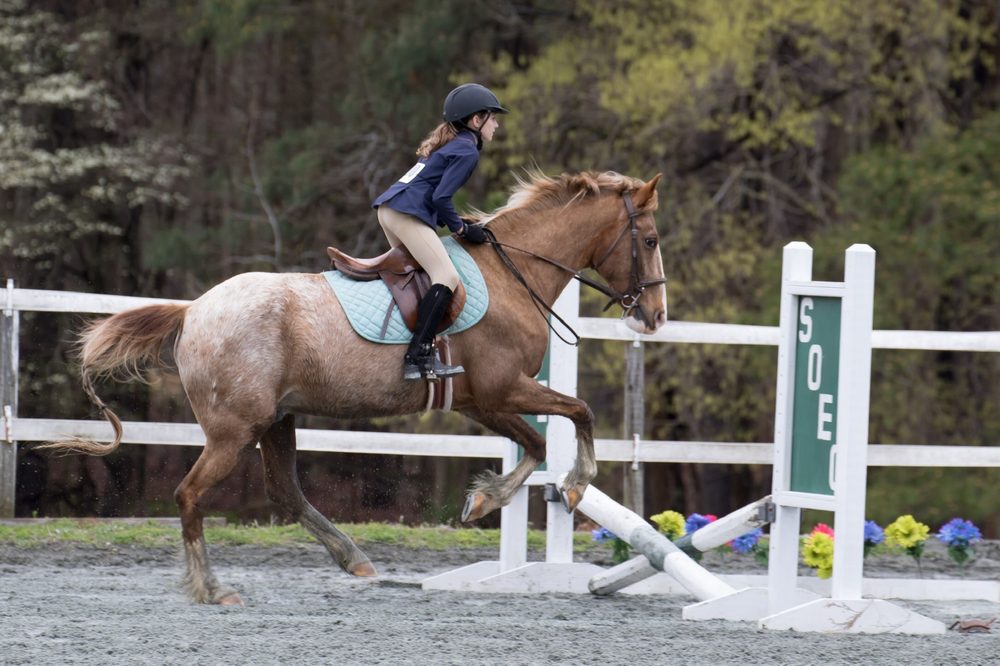 SOUTHERN OAK EQUESTRIAN CENTER - 15 Photos - 11906 Shooting Club Rd ...