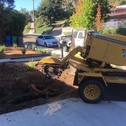 ALL ACCESS TREE CARE - 148 Photos & 190 Reviews - Tree Services - 289 ...