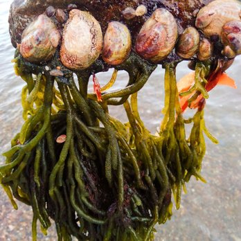 SANDY POINT BEACH - Updated October 2025 - 26 Photos - 620 Sandy Point ...