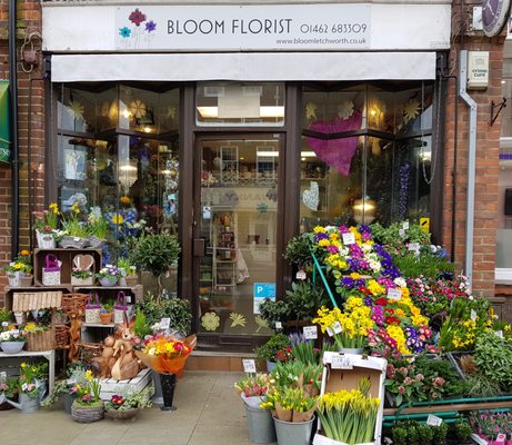 BLOOM-LETCHWORTH - Florists - 3 Leys Avenue, Letchworth Garden City ...