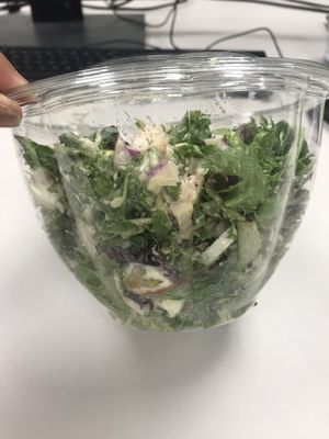 FIDDLEHEAD - 134 W College Ave, State College, Pennsylvania - 32 Photos ...