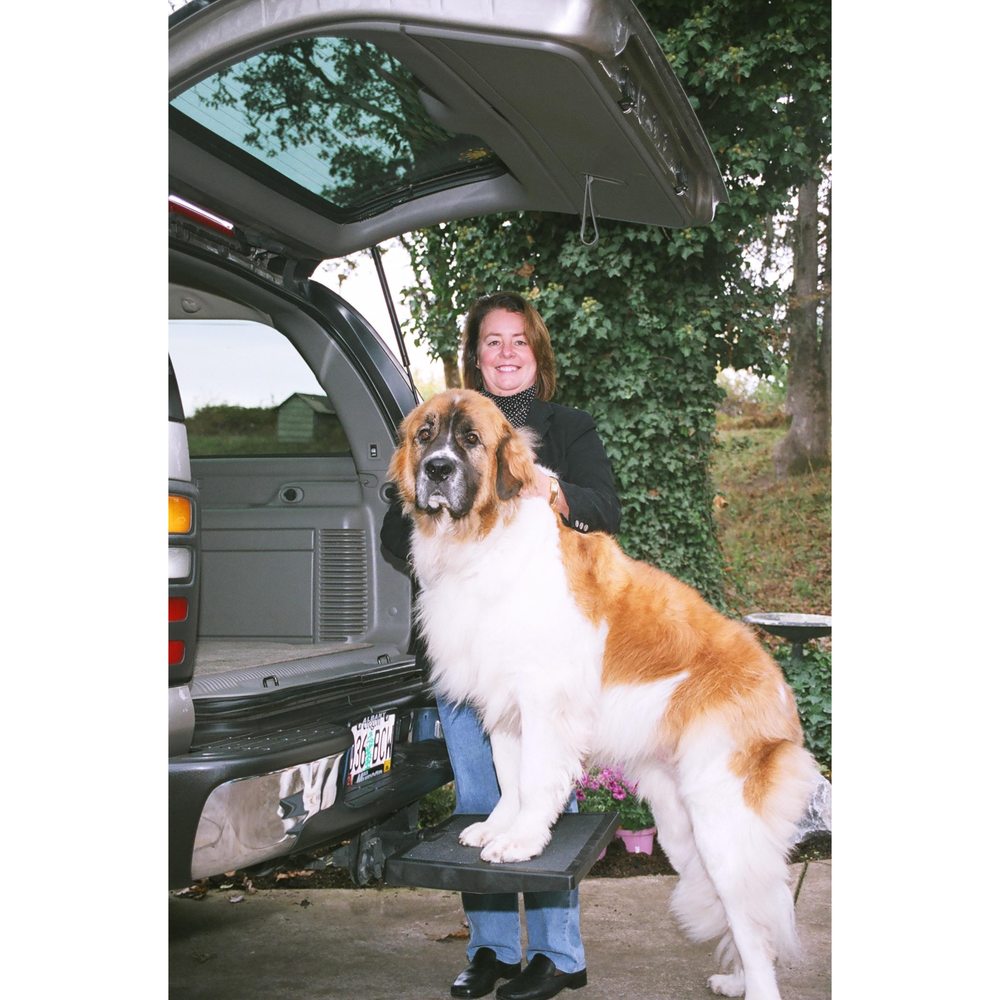 OTTO-STEP - 35200 Riverside Dr SW, Albany, Oregon - Pet Stores - Phone ...