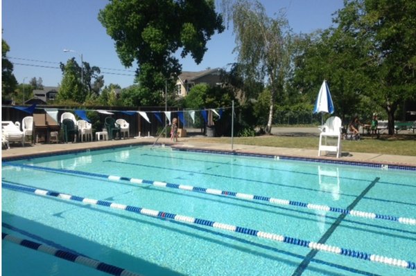 LARKEY PRIVATE SWIM CLUB - Updated December 2025 - 11 Photos - 800 ...