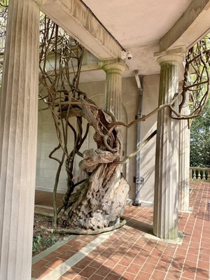 VAN VLECK HOUSE & GARDENS - Updated October 2025 - 360 Photos & 50 ...