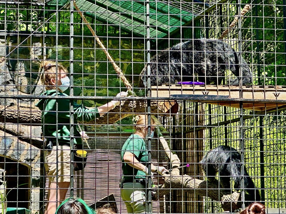 BRANDYWINE ZOO - Updated September 2025 - 178 Photos & 71 Reviews ...