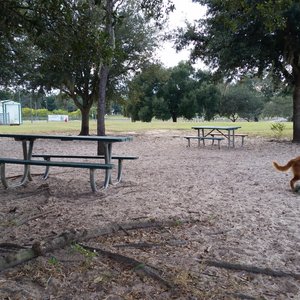 MANGO DOG PARK - 23 Photos & 31 Reviews - 11717 Clay Pit Rd, Seffner ...