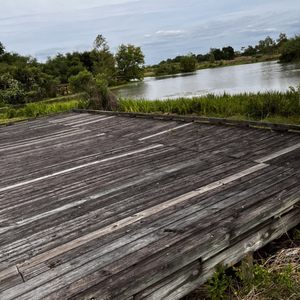 JONES CREEK RANCH PARK - Updated December 2025 - 16 Photos - 7714 Fm ...