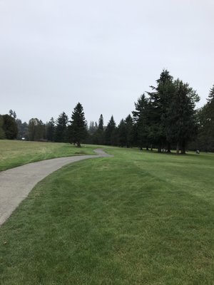 LEWIS RIVER GOLF COURSE - Updated September 2025 - 11 Photos & 49 ...
