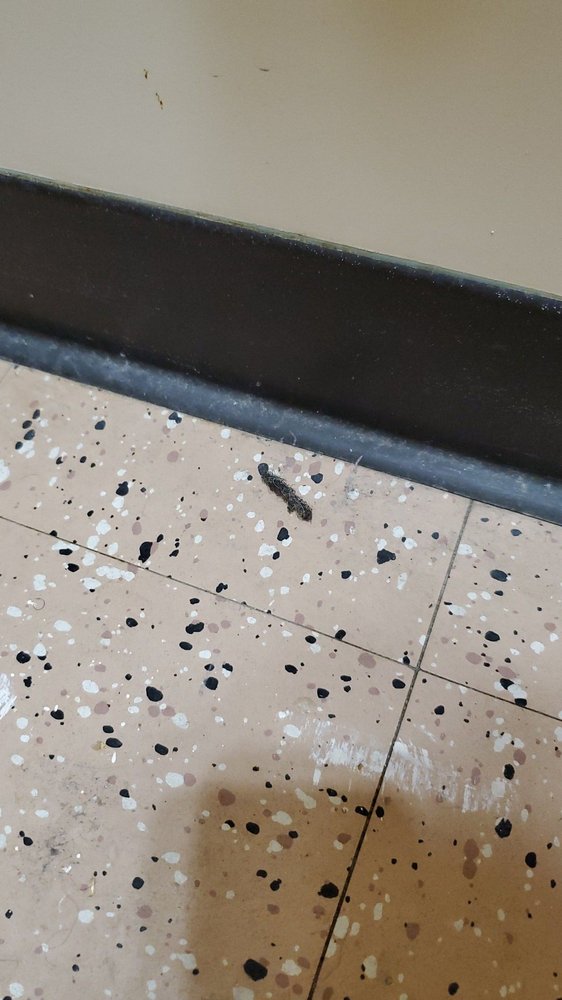 KLAMATH TRAVEL INN - Updated July 2025 - 11 Photos - 5440 N Hwy 97 ...