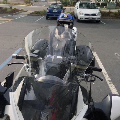 CURTIS BLUE LINE - Updated December 2025 - 10 Photos & 70 Reviews - 855 ...