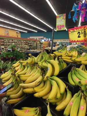 FOOD CITY - Updated December 2025 - 13 Photos & 27 Reviews - 2124 E ...