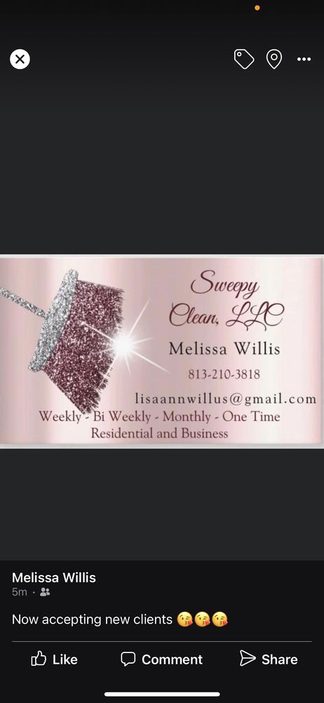 SWEEPY CLEAN - Request a Quote - Tampa, Florida - Home Cleaning - Phone ...