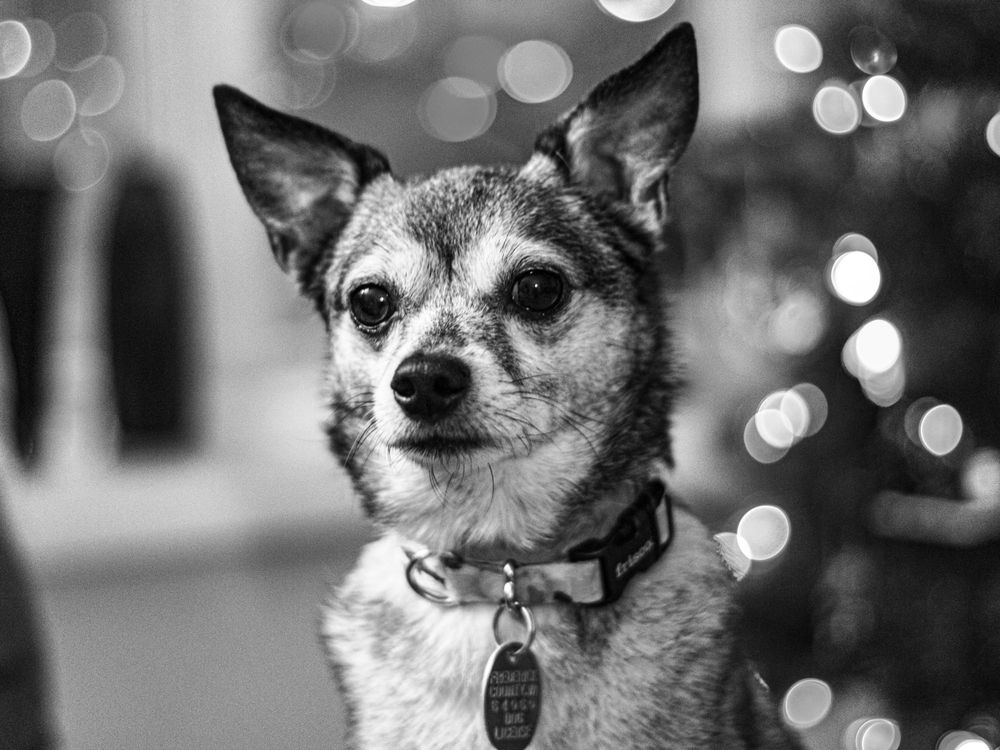 FLASHPOINT PHOTOGRAPHY - 17 Photos - Manassas, Virginia - Boudoir ...