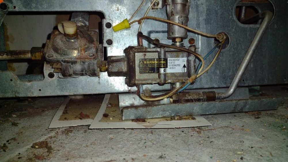 TODA ESTUFA SPORTE - Updated September 2024 - Request a Quote - 16 ...