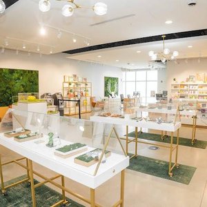 INSA CANNABIS DISPENSARY - SPRINGFIELD - Updated September 2025 - 40 ...