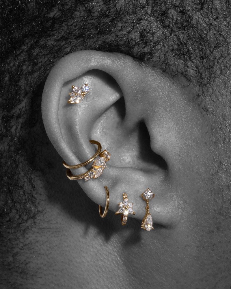 WILDLIKE - Updated December 2025 - 77 Photos & 97 Reviews - 4218 Oak ...