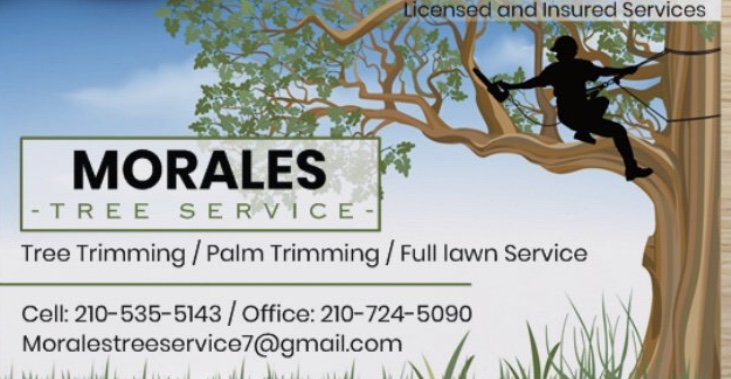 MORALES TREE SERVICE - Updated January 2026 - San Antonio, Texas - Tree Services - Phone Number ...