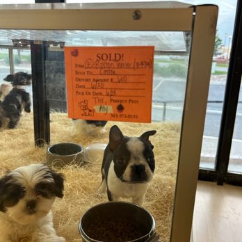PERFECT PETS - Updated January 2026 - 68 Photos & 103 Reviews - 6840 S ...