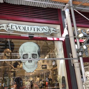 THE EVOLUTION STORE - 308 Photos & 183 Reviews - 687 Broadway, New York ...