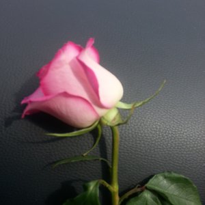 BRUEGGEMANN FUNERAL HOME - Updated August 2025 - 16 Photos - 522 ...