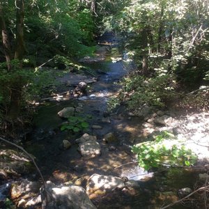 DUTCH FLAT RV RESORT - 33 Photos & 24 Reviews - 55 Canyon Creek Rd ...