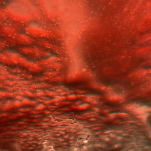 ZAROO EXPRESS CAR WASH - Updated July 2024 - 11 Photos & 34 Reviews ...