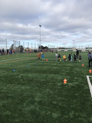 ALBANY-BERKELEY SOCCER CLUB - Updated January 2026 - 16 Photos & 36 ...