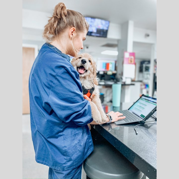 PARKER ANIMAL CARE - Updated December 2025 - 160 Photos - 2239 S Lamar ...