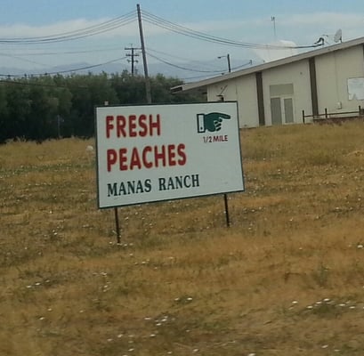 MANAS RANCH - Updated December 2025 - 15 Reviews - 25838 Co Rd 21 A ...