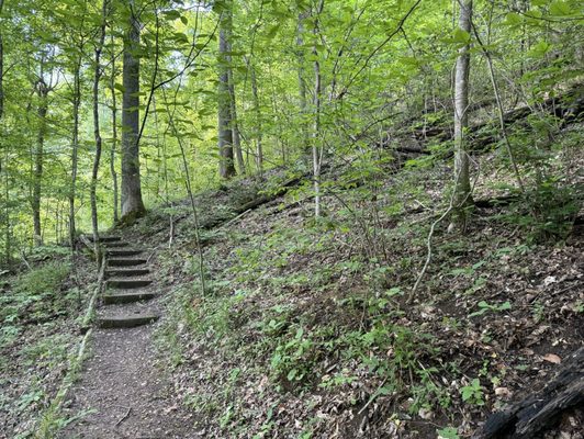 SAUNDERS SPRINGS NATURE PRESERVE - Updated June 2026 - 145 Photos & 30 ...
