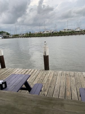 THE RIVER SHACK - 66 Photos & 14 Reviews - Seafood - 6120 S Marina Dr ...