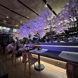 PAPERFISH SUSHI - Updated November 2025 - 1762 Photos & 893 Reviews ...