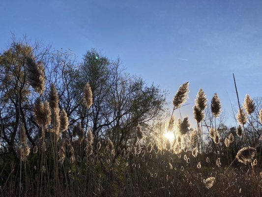 NORTH PARK VILLAGE NATURE CENTER - Updated December 2024 - 198 Photos ...