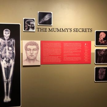 LOUISIANA ART AND SCIENCE MUSEUM - Updated December 2025 - 151 Photos ...