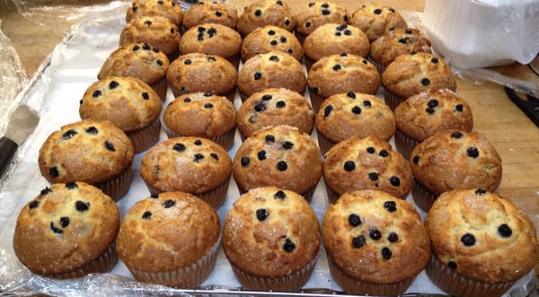 JAVA JUNCTION DONUT & COFFEE COMPANY - Daytona Beach, Florida - 23 ...