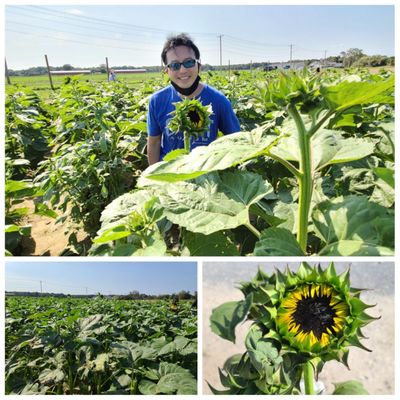 WATERDRINKER FAMILY FARM & GARDEN - Updated August 2024 - 424 Photos ...