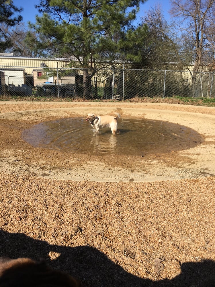 BREE’S BARK PARK - Updated October 2025 - 960 N Flag Chapel Rd, Jackson ...