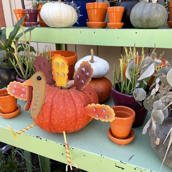 ALDEN LANE NURSERY - Updated July 2024 - 349 Photos & 209 Reviews - 981 ...