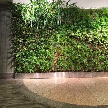 PACIFIC GUARDIAN CENTER - Updated January 2026 - 177 Photos & 11 ...