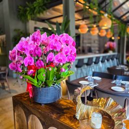 SENLA - Updated December 2025 - 30 Photos - 133 Richmond Street W, Toronto, Ontario - Vietnamese ...