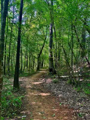 HECTOR H HENRY II GREENWAY - Updated July 2025 - 16 Photos - 1095 Drake ...