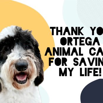 ORTEGA ANIMAL CARE CENTER - Updated January 2025 - 80 Photos & 112 ...