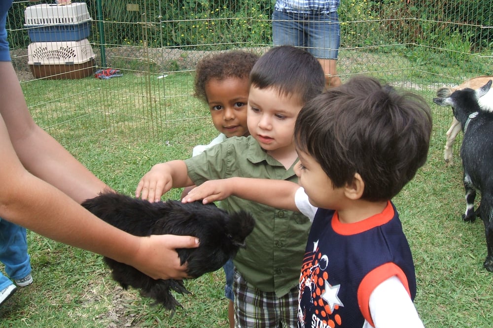 Growing Tree Academy Preschool & Childcare Center - Trusted Since 1996 ...