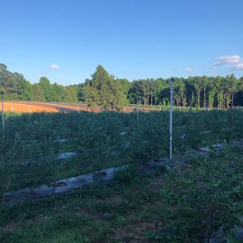 ENO RIVER FARM - Updated March 2025 - 100 Photos & 41 Reviews - 2127 St ...