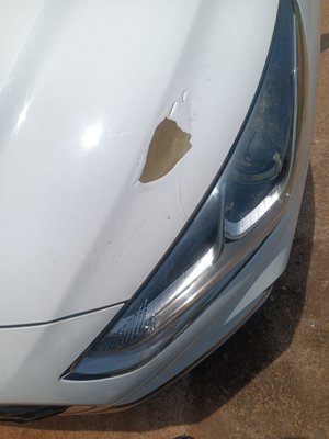 BELL ROAD TOYOTA - Updated January 2026 - 151 Photos & 794 Reviews ...