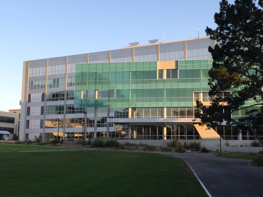 SFSU - J. PAUL LEONARD LIBRARY - Updated October 2025 - 62 Photos & 53 ...