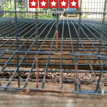 WIRE CLOTH MAN - Updated December 2025 - 7158 123rd Cir, Largo, Florida ...