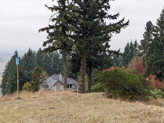 TRUE NORTH TREE CARE - Updated August 2025 - 29 Photos - 92193 Whitmore ...