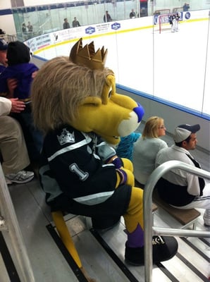 CONWAY ARENA - Updated October 2025 - 8 Riverside St, Nashua, New ...